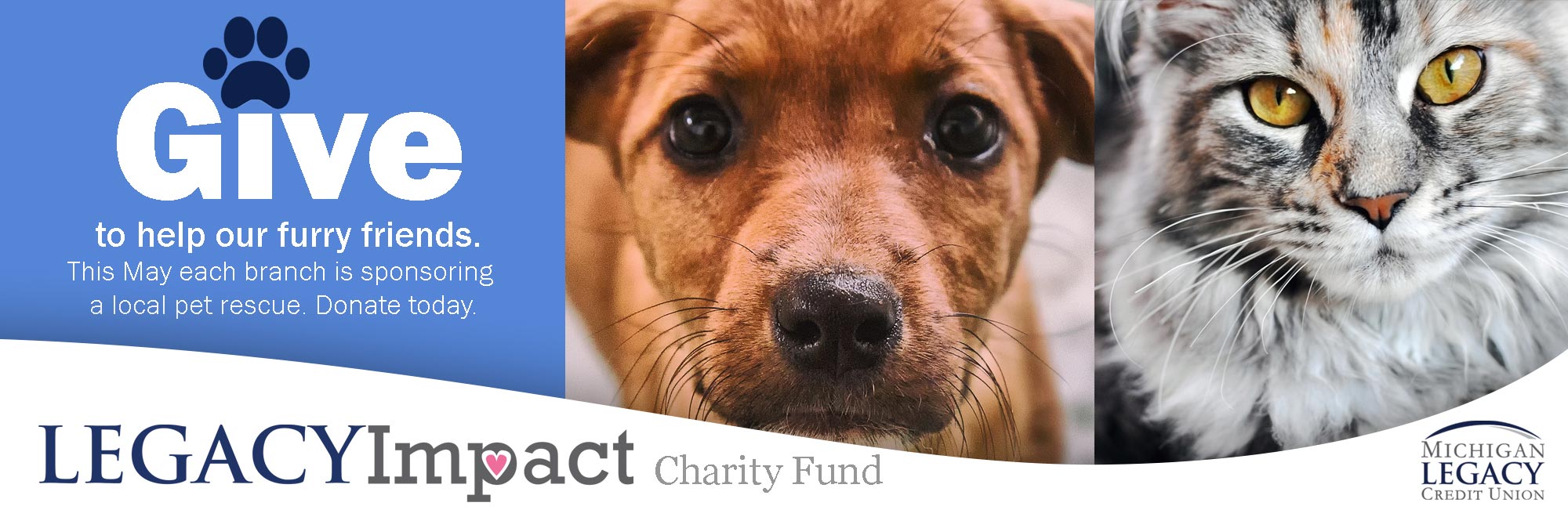 Michigan Legacy Credit Union