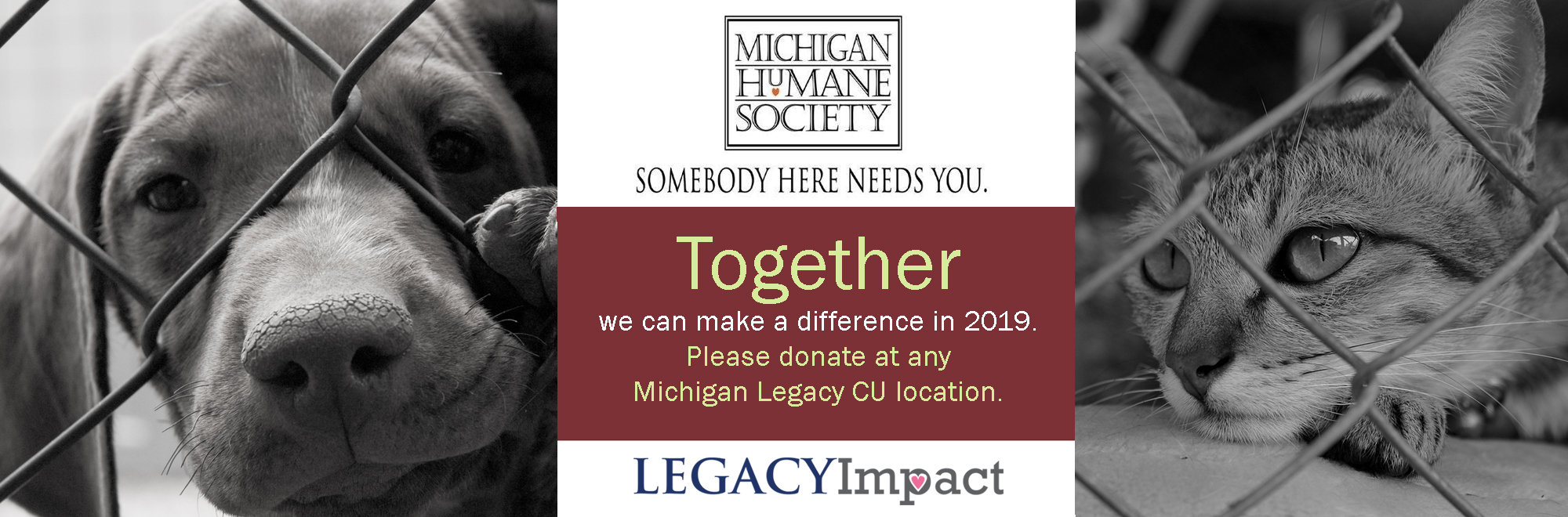 Michigan Legacy Credit Union